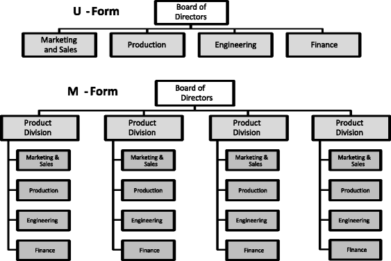 The-unitary-functional-and-the-multidivisional-form - مشاوره مدیریت ...